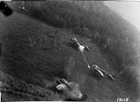 56th Fighter Group in World War II