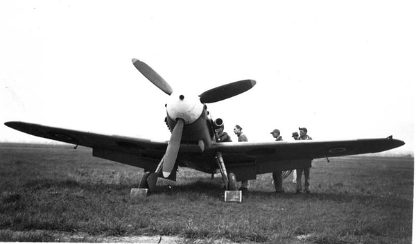 56th Fighter Group in World War II